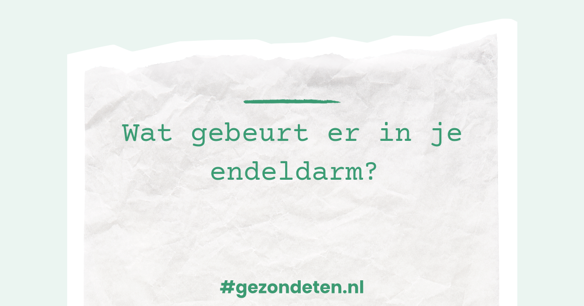 Wat gebeurt er in je endeldarm? | Gezondeten.nl