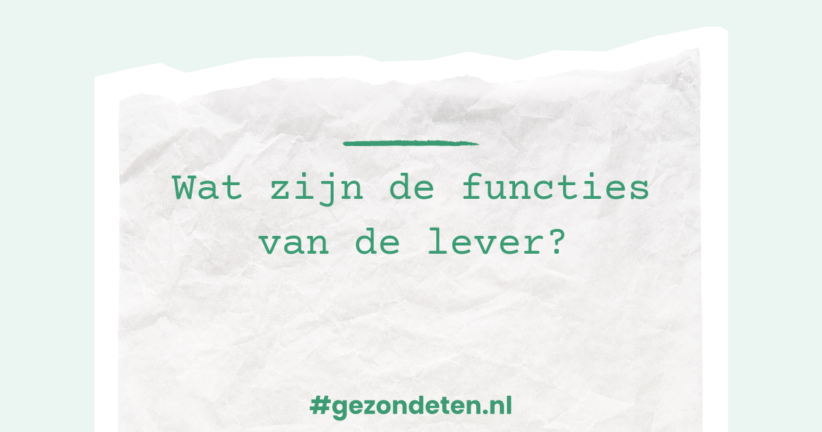 Wat zijn de functies van de lever? | Gezondeten.nl